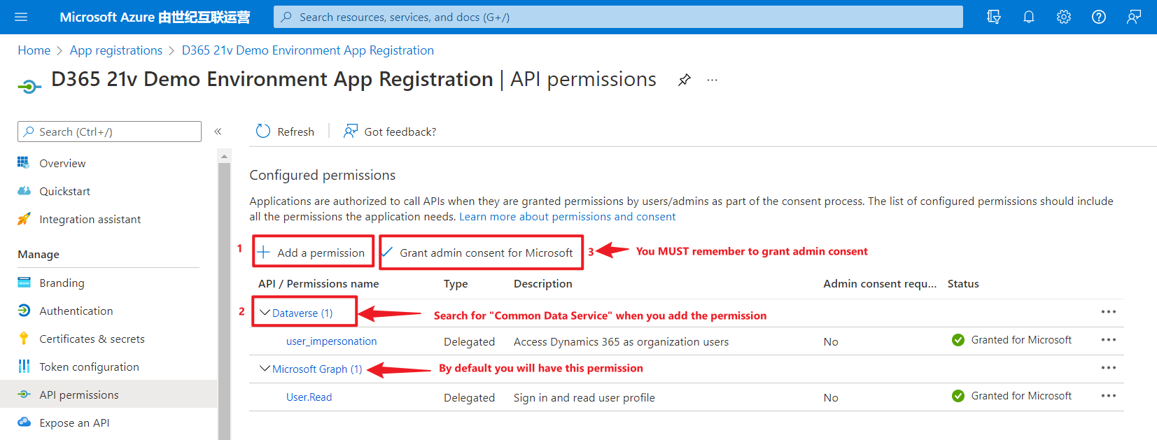 Setup XrmToolBox Connection for Azure China Hosted Dataverse